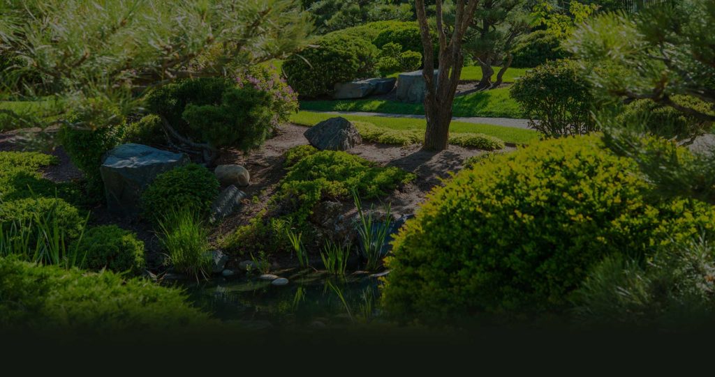 Carolina Greenscapes - Carolina Greenscapes